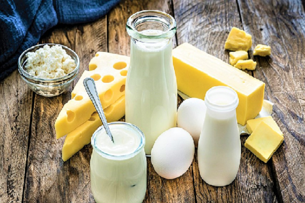 dairy, milk, dairy farm, cows,